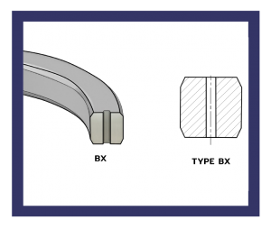 Ring Type Joint Gaskets (RTJ) - Sealingrus.co.th
